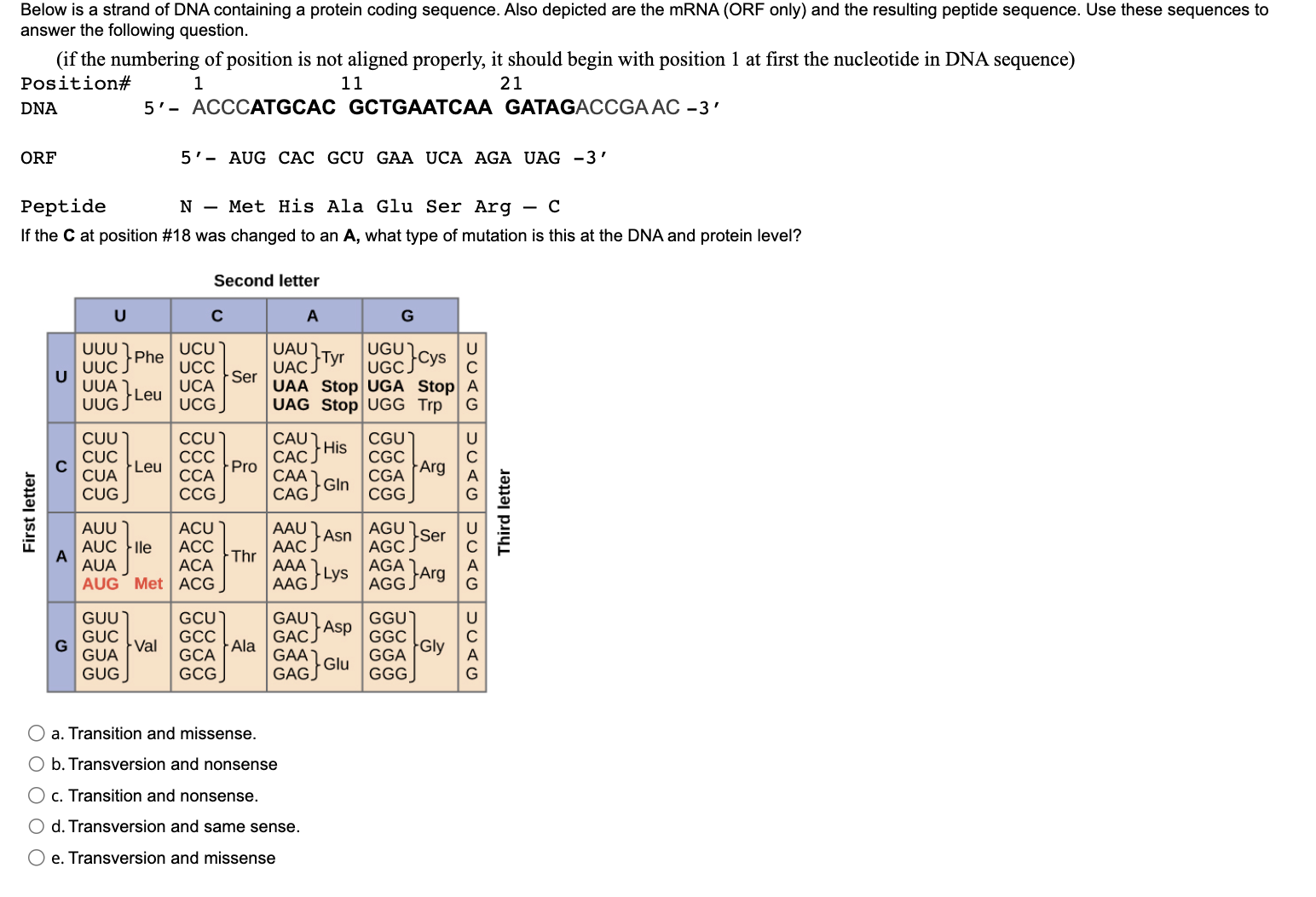 Solved Below is a strand of DNA containing a protein coding | Chegg.com