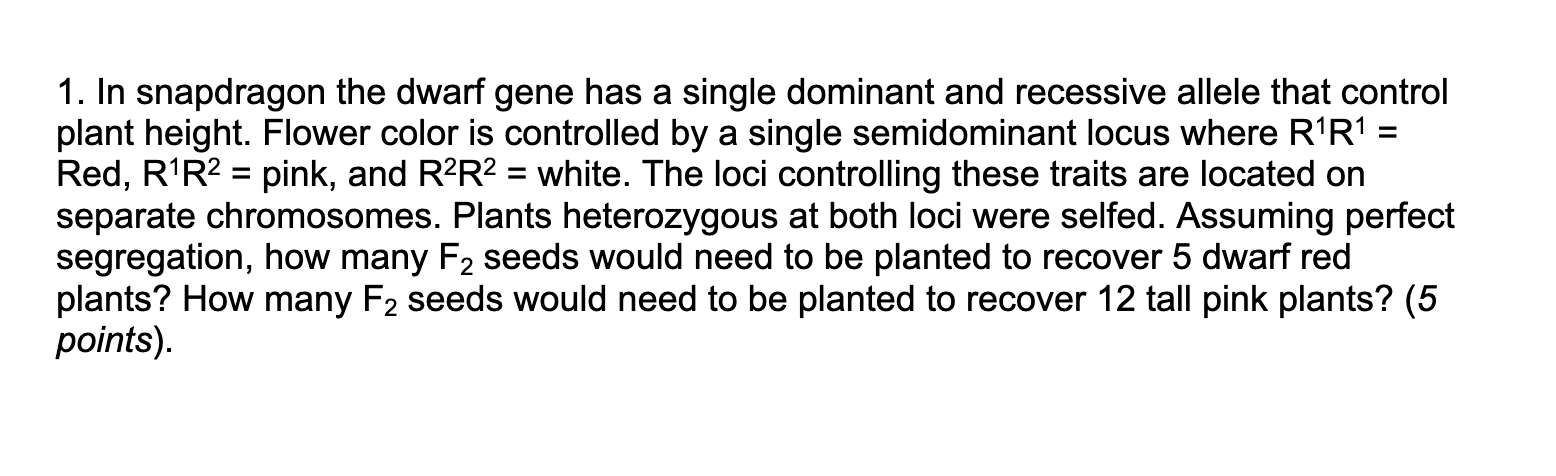 Solved 1. In snapdragon the dwarf gene has a single dominant | Chegg.com