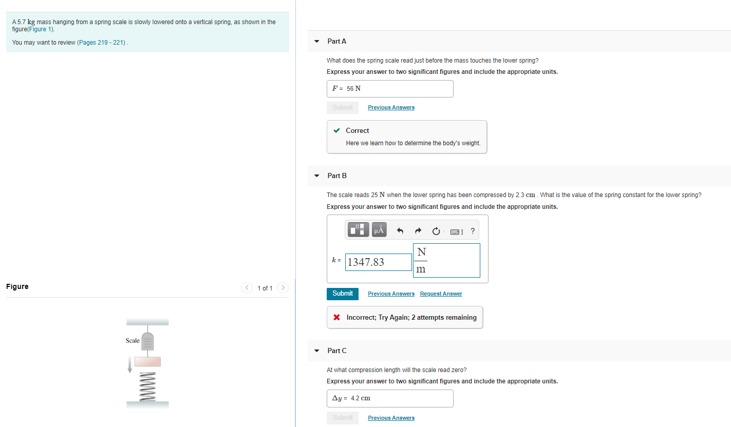 Solved A 5.7 kg mass hanging from a spring scale is slowly | Chegg.com
