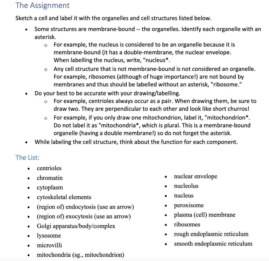Solved The Assignment . o o Sketch a cell and label it with | Chegg.com