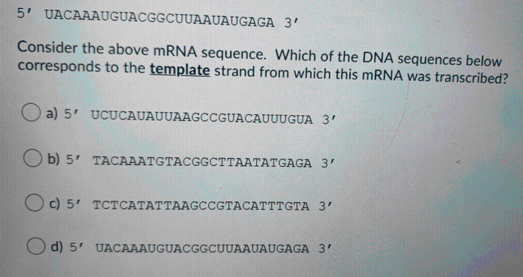 Solved 5' VACAAAUGUACGGCUUAAUAUGAGA 3' Consider the above | Chegg.com