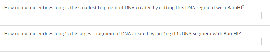 Solved How many nucleotides long is the smallest fragment of | Chegg.com