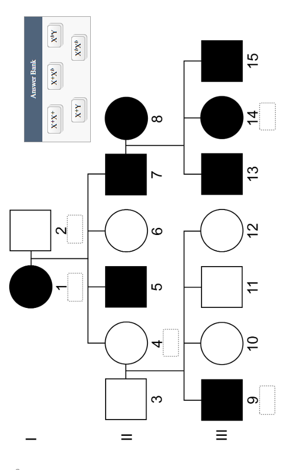 Solved In 1916, Dorothy Osborn suggested that pattern | Chegg.com
