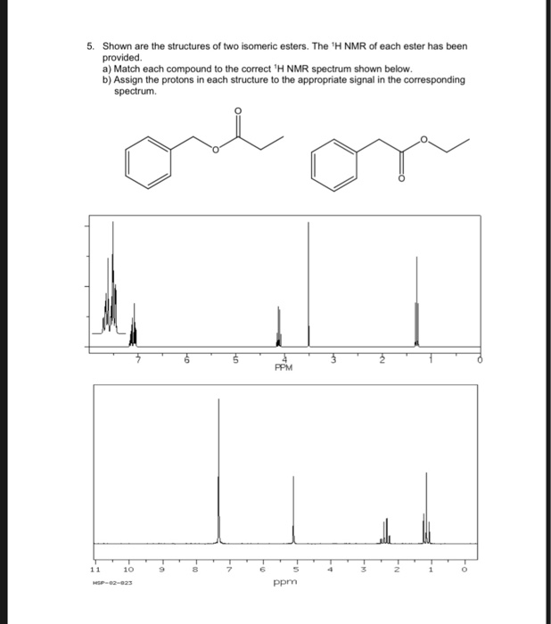 Solved 5 Shown Are The Structures Of Two Isomeric Esters