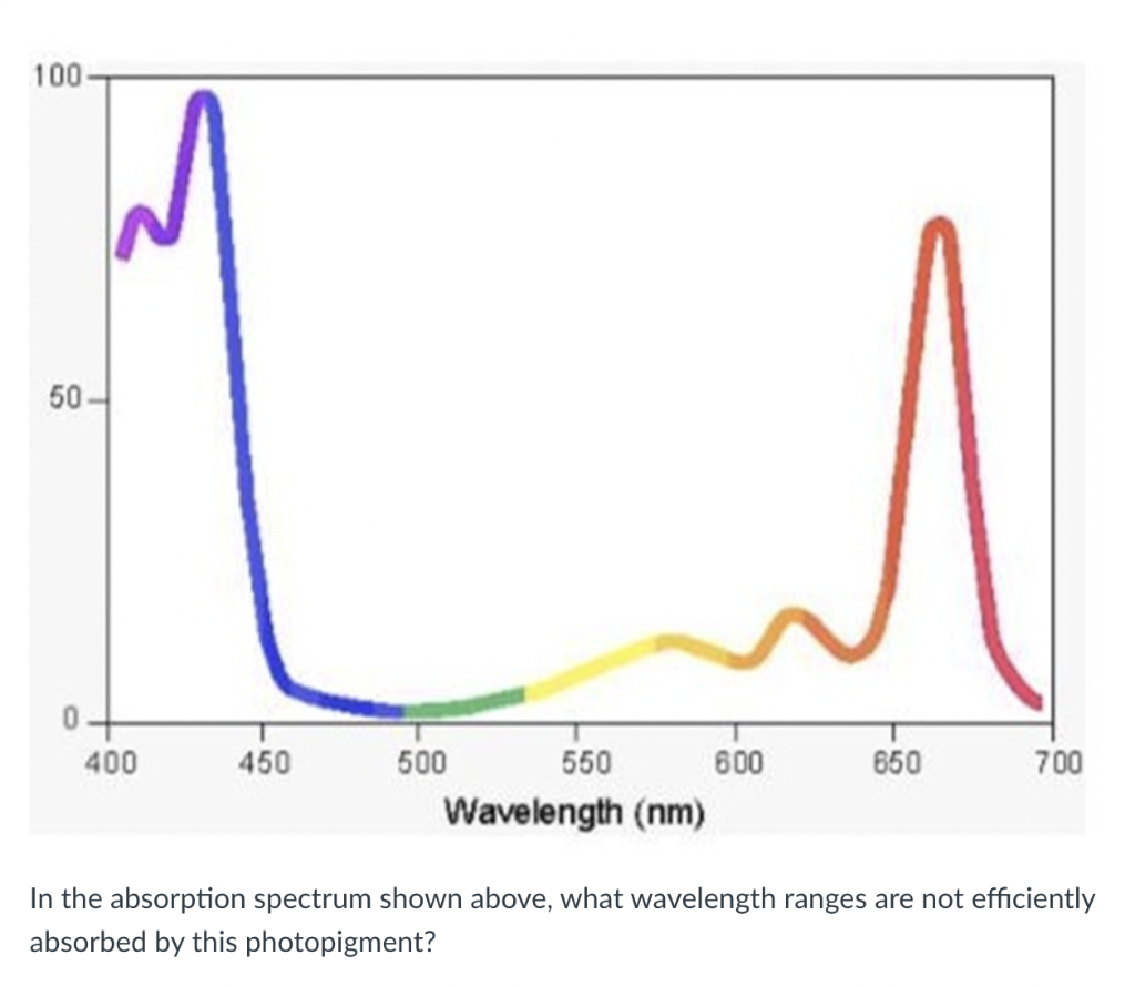 Solved 100 50 - 0 400 450 850 700 500 550 600 Wavelength | Chegg.com