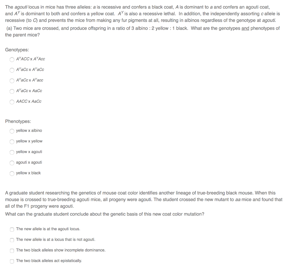 The agouti locus in mice has three alleles: a is | Chegg.com