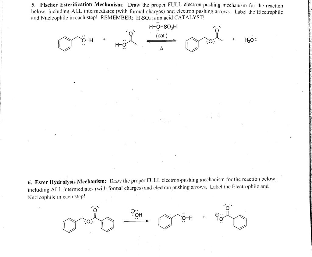 Solved 5. Fischer Esterification Mechanism: Draw the proper | Chegg.com