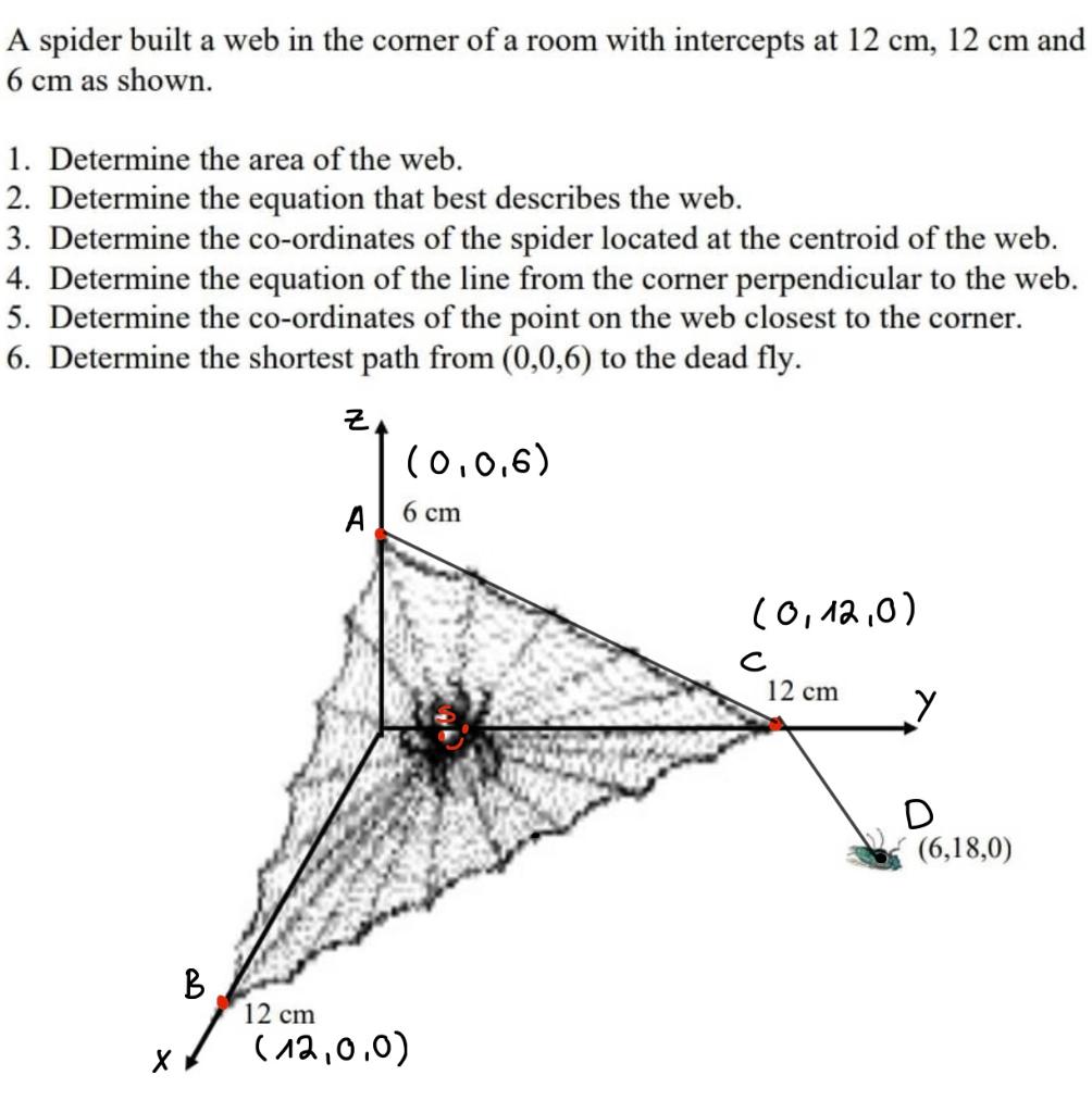 Solved A spider built a web in the corner of a room with | Chegg.com