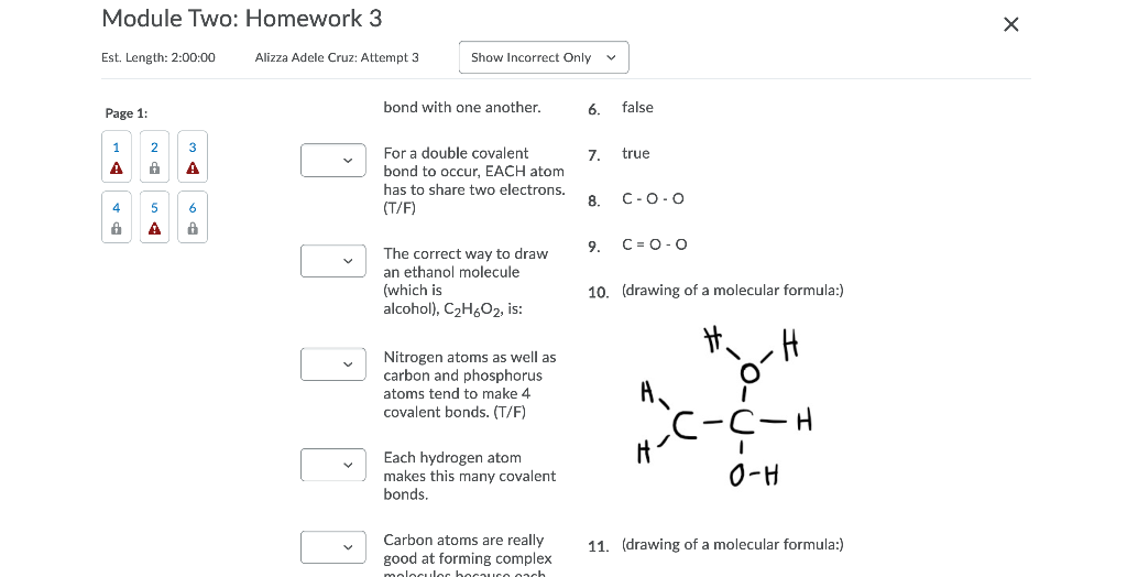 Solved Module Two: Homework 3 х Est. Length: 2:00:00 Alizza | Chegg.com