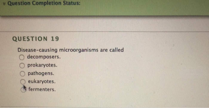 Solved Question Completion Status: QUESTION 19 | Chegg.com Solved Question Completion Status: QUESTION 19 | Chegg.com