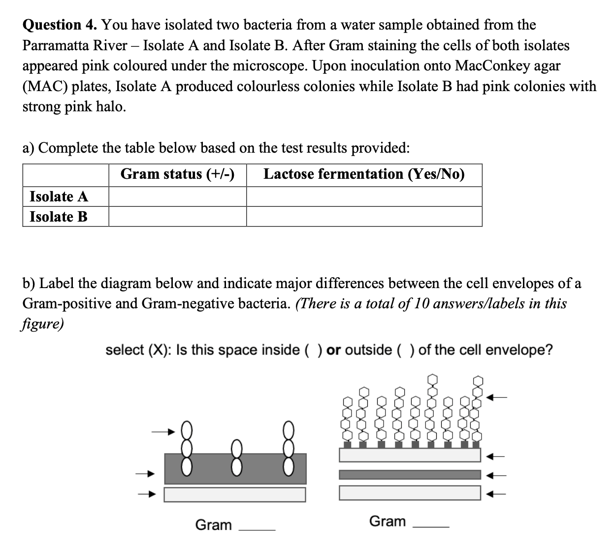 Solved Question 4. You have isolated two bacteria from a | Chegg.com