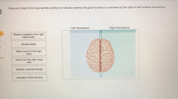 Solved Drag each label to the appropriate position to | Chegg.com
