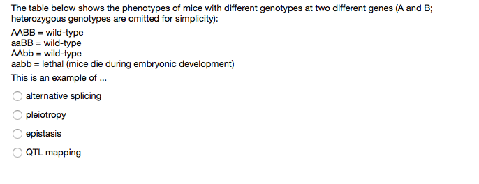 Solved The table below shows the phenotypes of mice with | Chegg.com