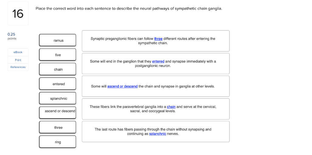 Solved Place the correct word into each sentence to describe | Chegg.com