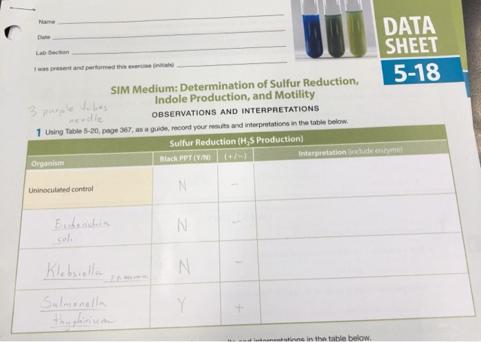 Solved Name DATA SHEET Date Lab Section I was present and | Chegg.com