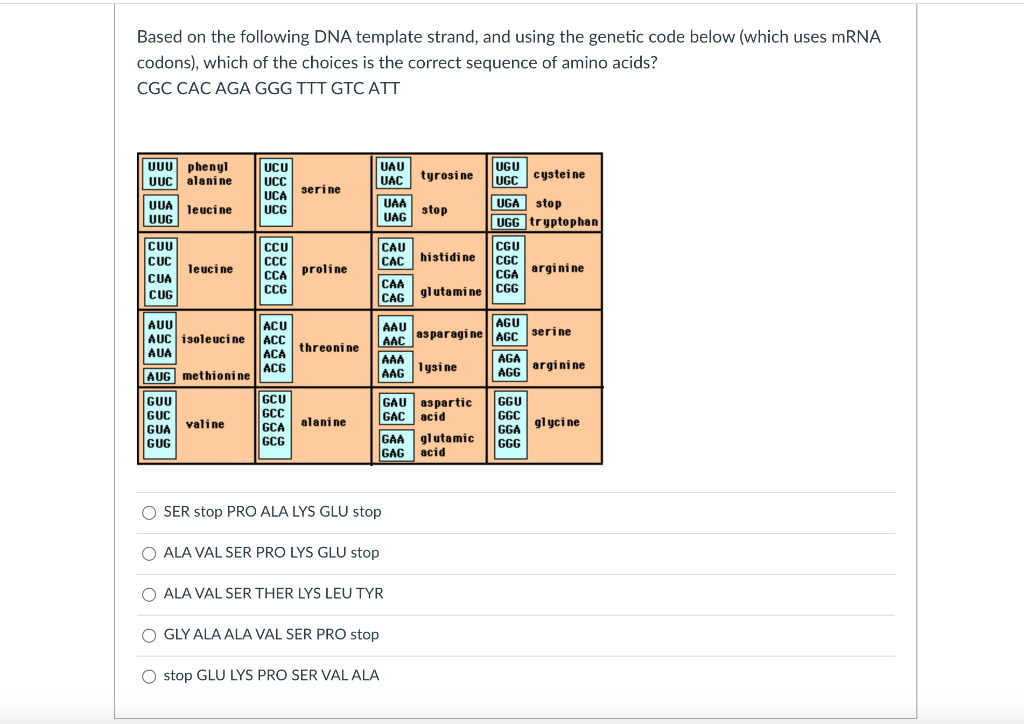 Solved Based on the following DNA template strand, and using | Chegg.com
