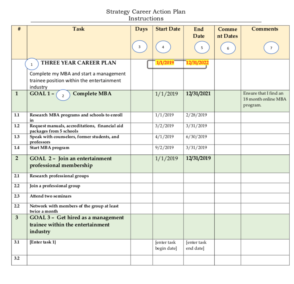 Solved Strategy Career Action Plan Instructions Developing a | Chegg.com