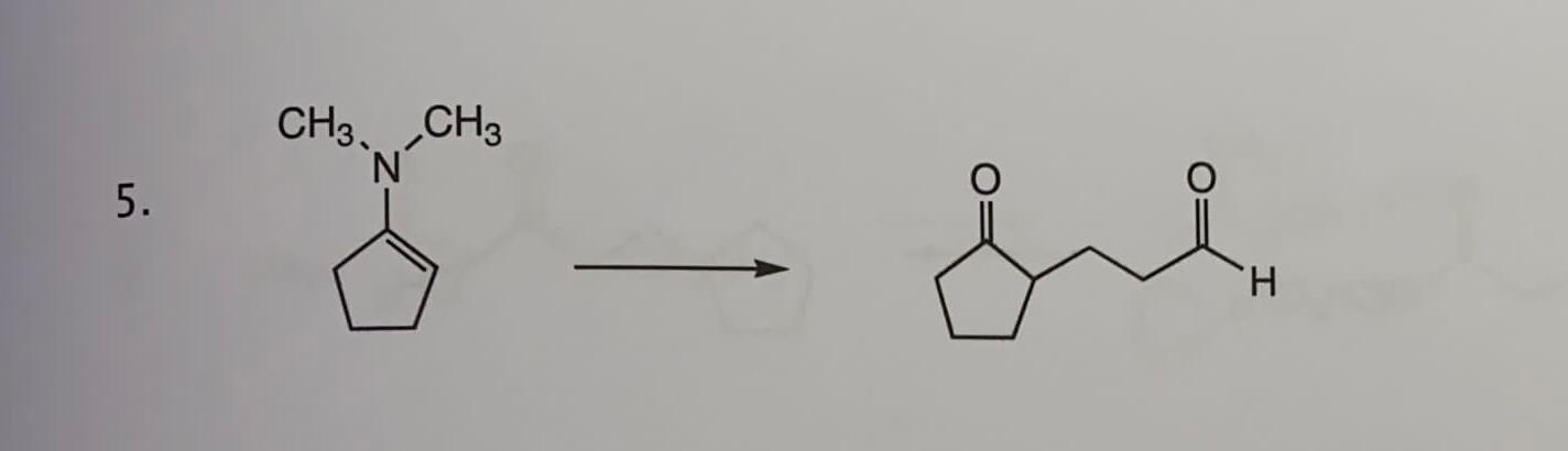 Solved CH3 CH3 N 5. لن ۔ H | Chegg.com