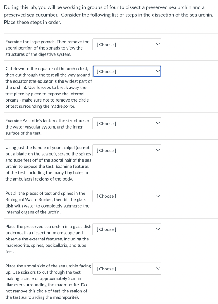 Solved During this lab, you will be working in groups of | Chegg.com