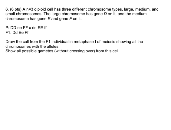 Solved 6. ( 6 pts) An=3 diploid cell has three different | Chegg.com