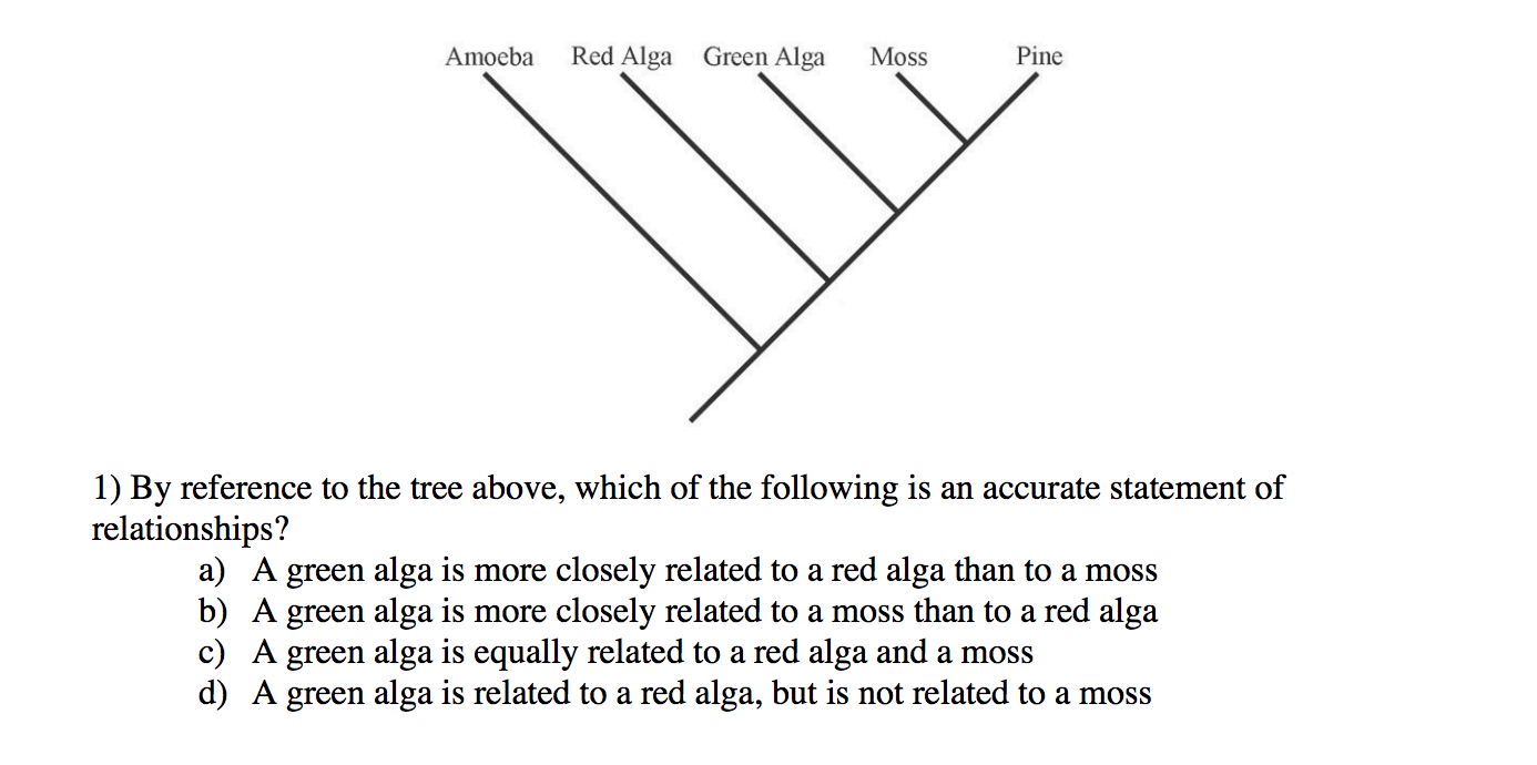 Solved Amoeba Red Alga Green Alga Moss Pine 1) By reference | Chegg.com