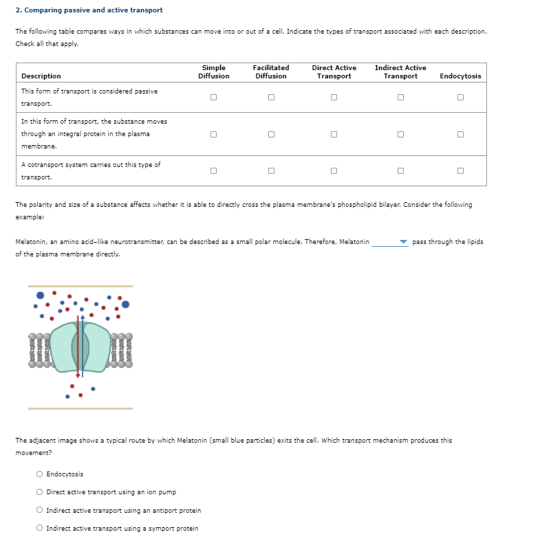 Solved 2. Comparing passive and active transport The | Chegg.com