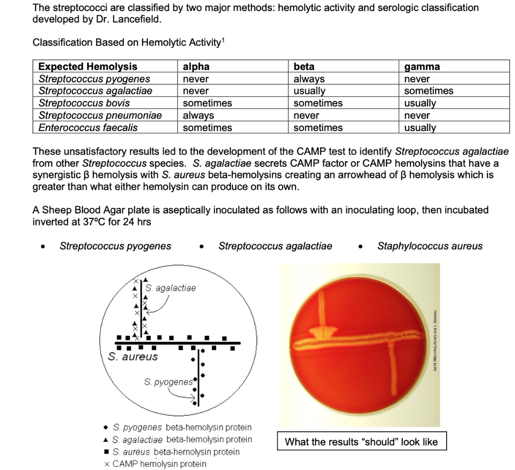 Solved The streptococci are classified by two major methods: | Chegg.com