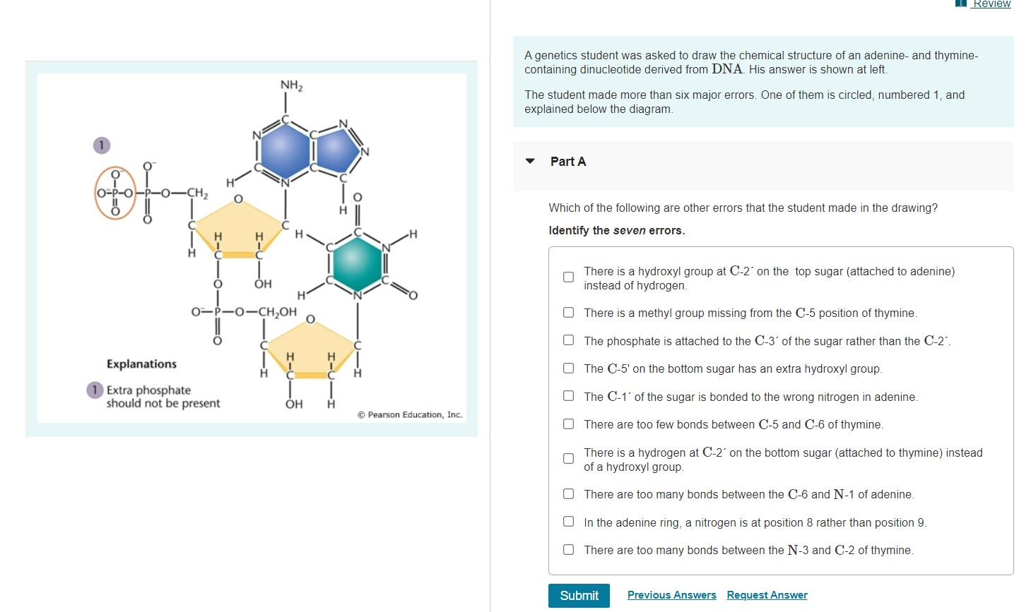 A genetics student was asked to draw the chemical | Chegg.com