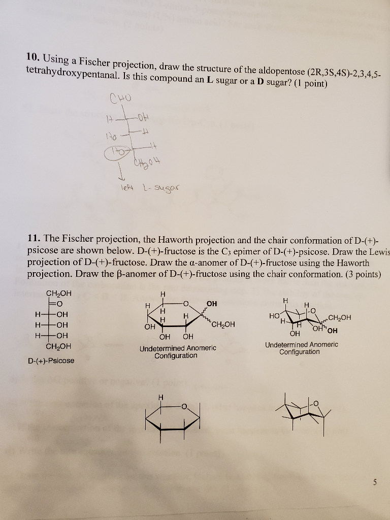 Solved The Fischer projection, the Haworth projection and | Chegg.com