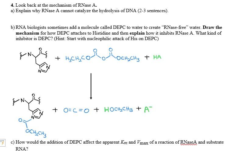 4. Look back at the mechanism of RNase A. a) Explain | Chegg.com