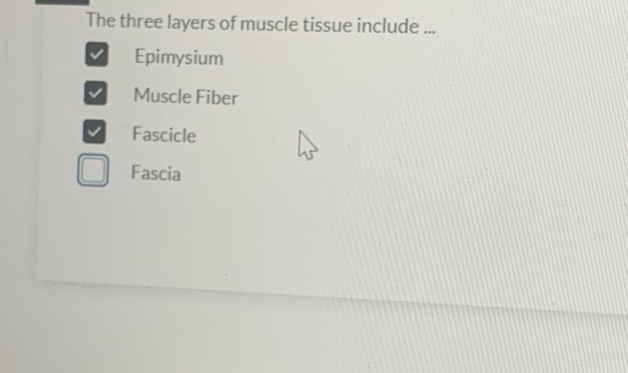 Solved The three layers of muscle tissue include... | Chegg.com