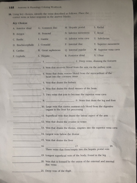 Solved 188 Anatomy & Physiology Coloring Workbook 18. Using | Chegg.com