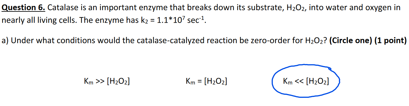 Solved Question 6. Catalase is an important enzyme that | Chegg.com