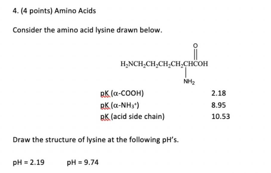 Solved Consider the amino acid lysine drawn below. Draw the | Chegg.com