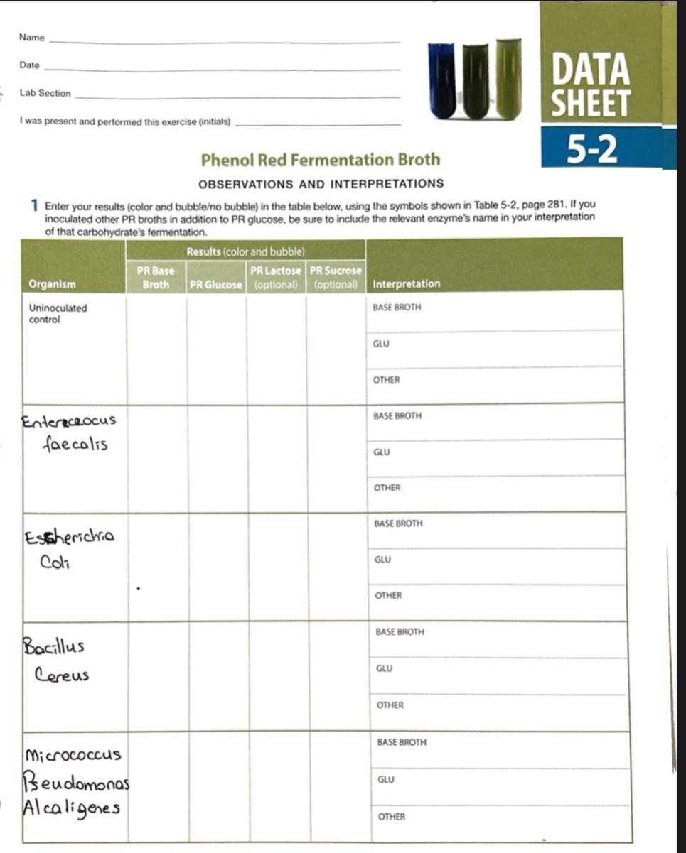 Name Date Lab Section DATA SHEET 5-2 I was present | Chegg.com