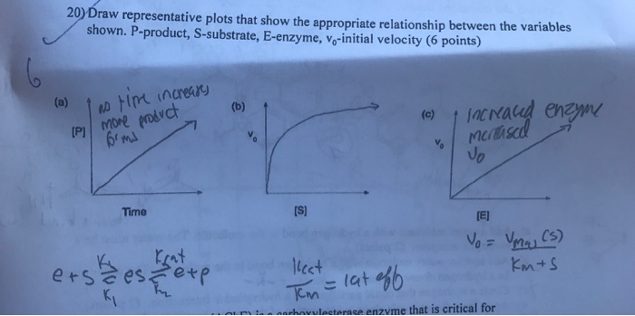 Solved 20)Draw representative plots that show the | Chegg.com