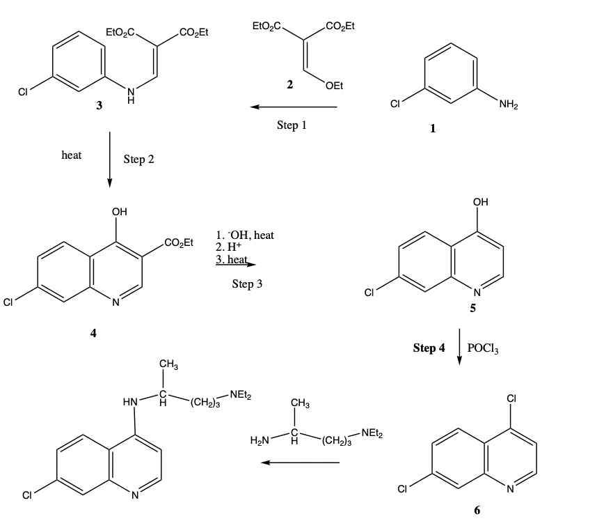 Solved For this last step, explain why the chlorine on the | Chegg.com