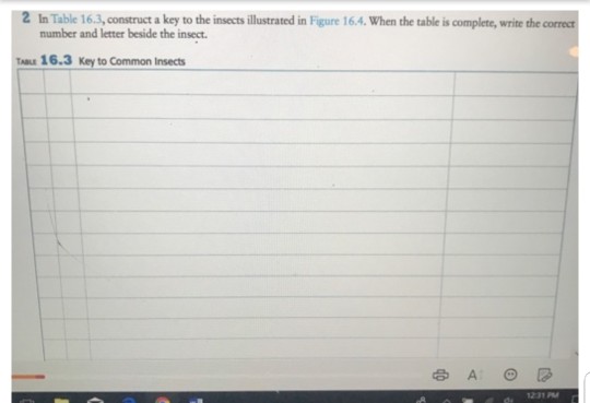 Solved construct a dichotomous key to the insects. when the | Chegg.com
