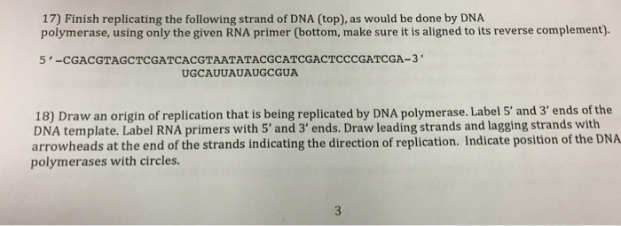 Solved Finish replicating the following strand of DNA (top), | Chegg.com