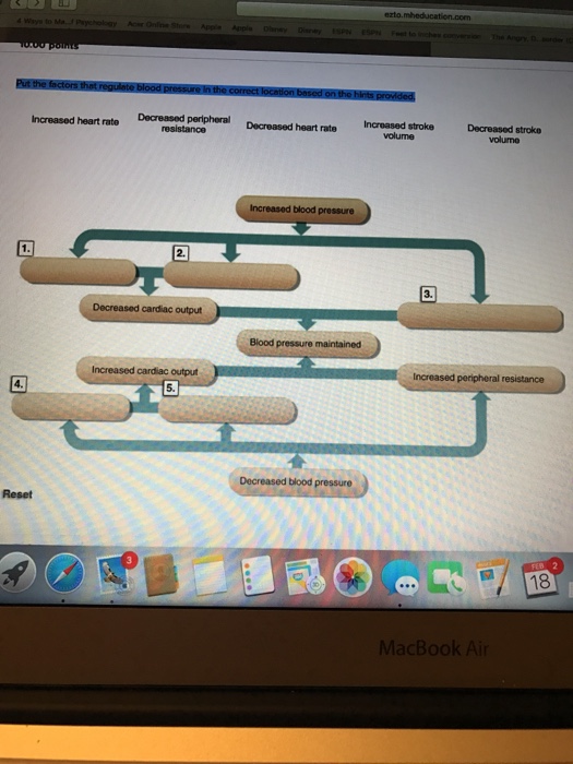 Solved increased heart rate Decreased peripheral Decreased | Chegg.com