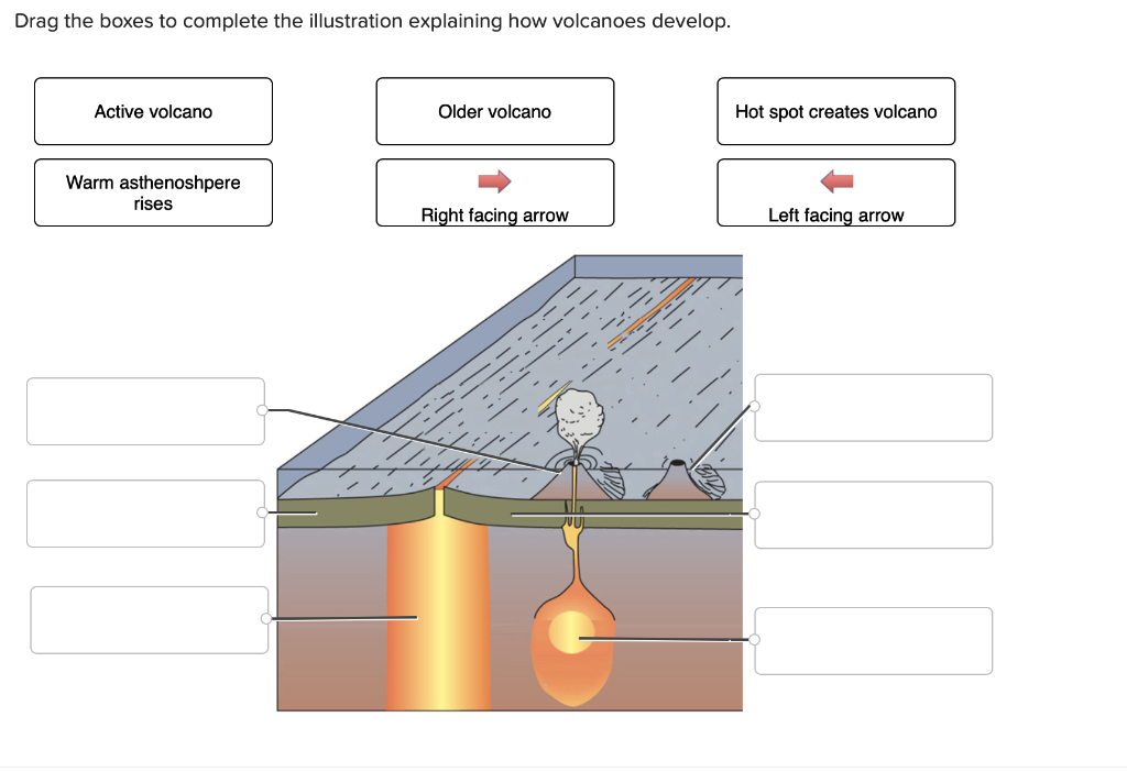 Solved Drag the boxes to complete the illustration | Chegg.com