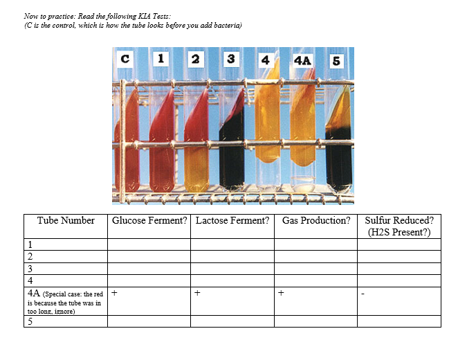Solved Now to practice: Read the following KIA Tests: (C is | Chegg.com