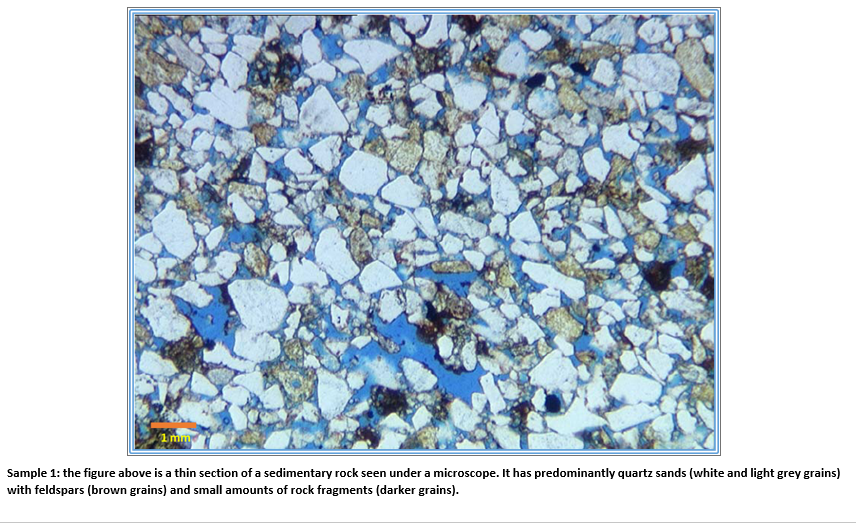 1 mm Sample 5: the figure above shows a sedimentary | Chegg.com