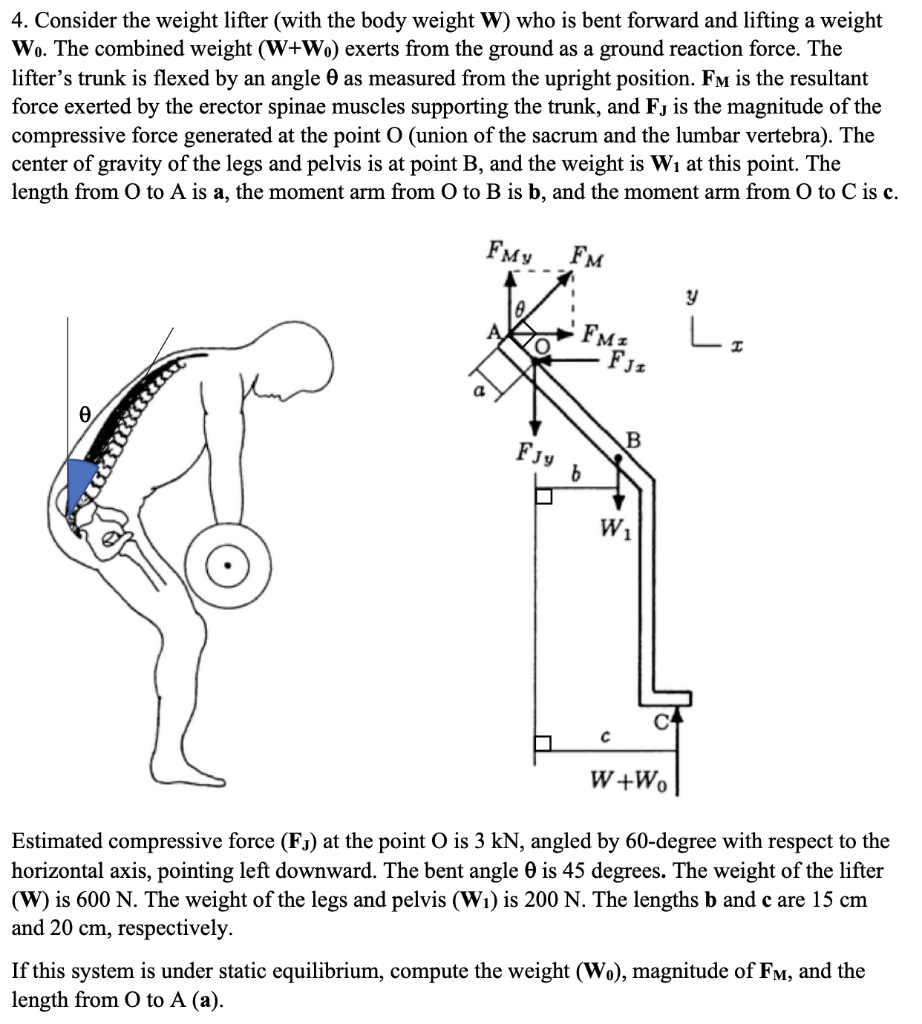Solved 4. Consider the weight lifter (with the body weight | Chegg.com