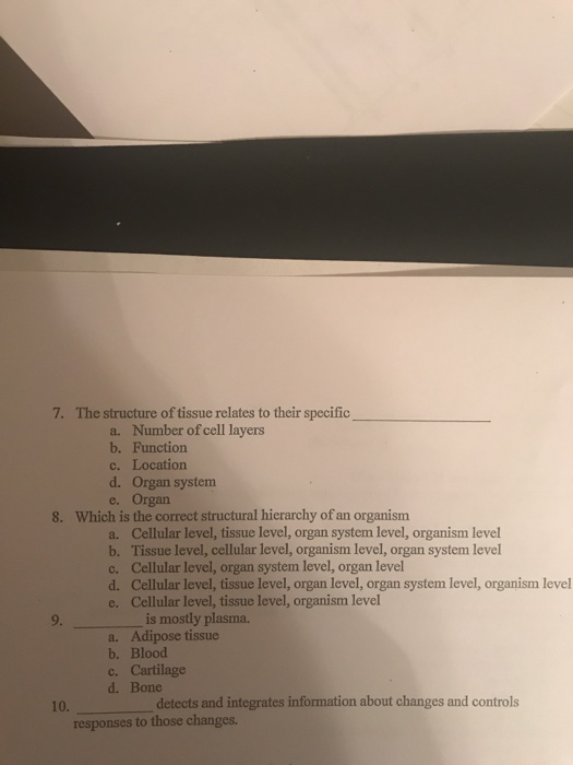 Solved Multiple Choice Questions (2 points each) 1. Which of | Chegg.com Solved Multiple Choice Questions (2 points each) 1. Which of | Chegg.com