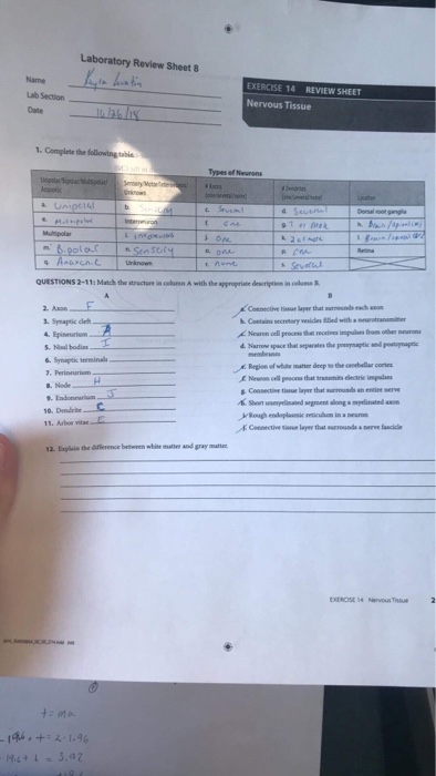 Laboratory Review Sheet 8 EXERCISE 14 REVIEW SHEET | Chegg.com