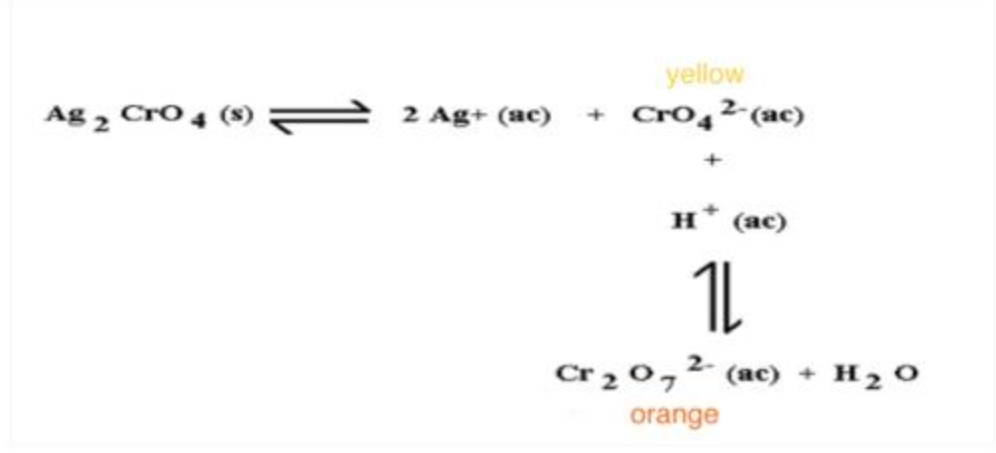 Solved Given the following system present in a solution | Chegg.com