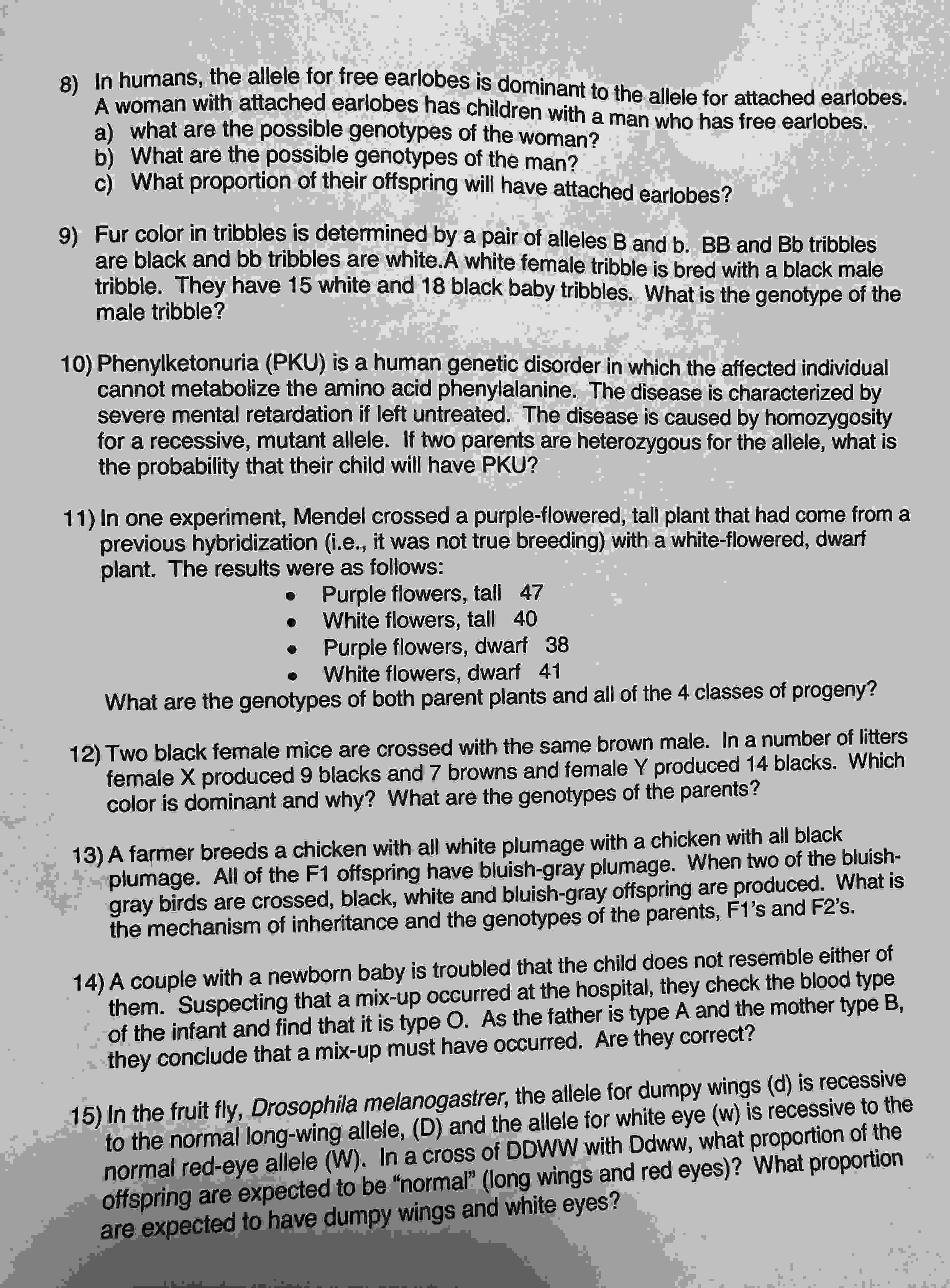 Solved 8) ﻿In humans, the allele for free earlobes is | Chegg.com