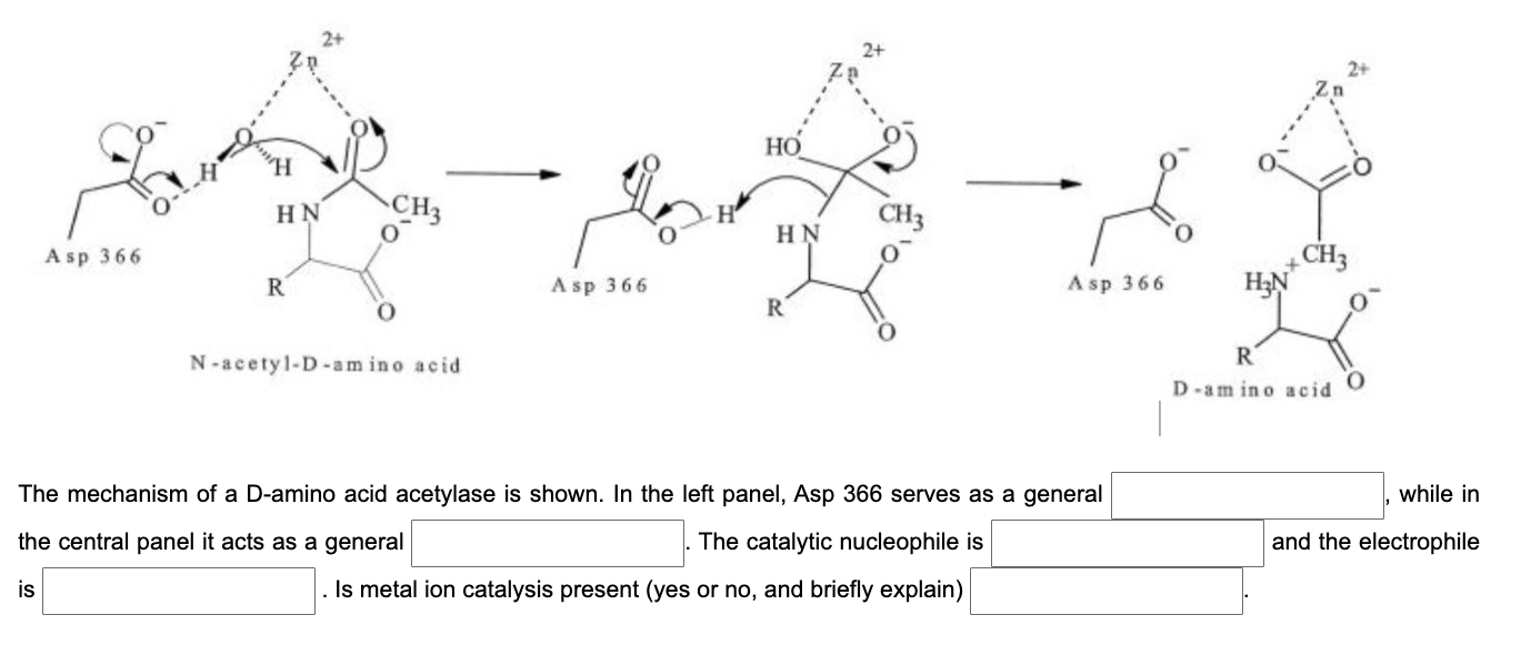 Solved Isoelectric Focusing (IEF) and related methods are | Chegg.com