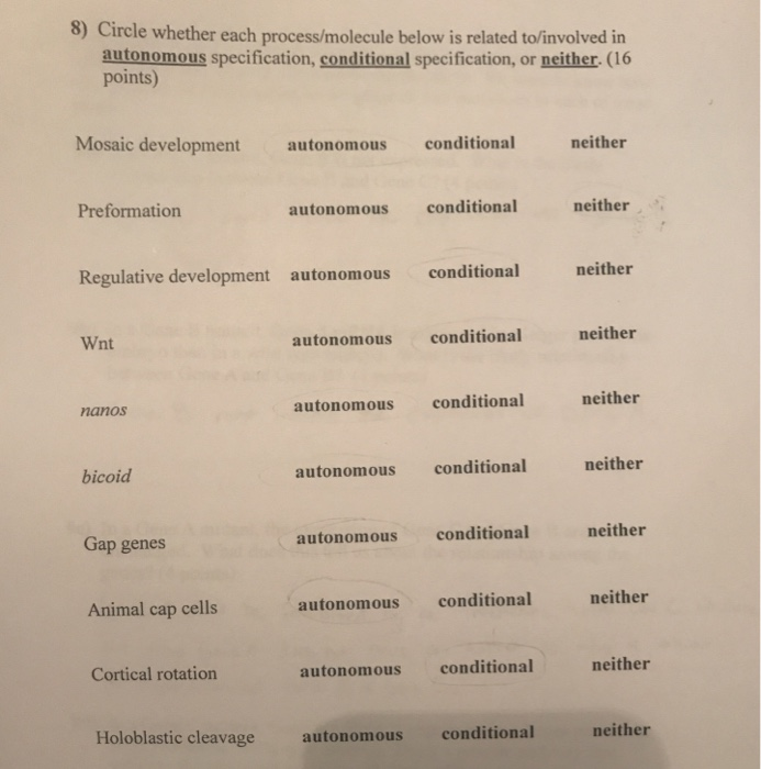 Solved 8) Circle whether each process/molecule below is | Chegg.com